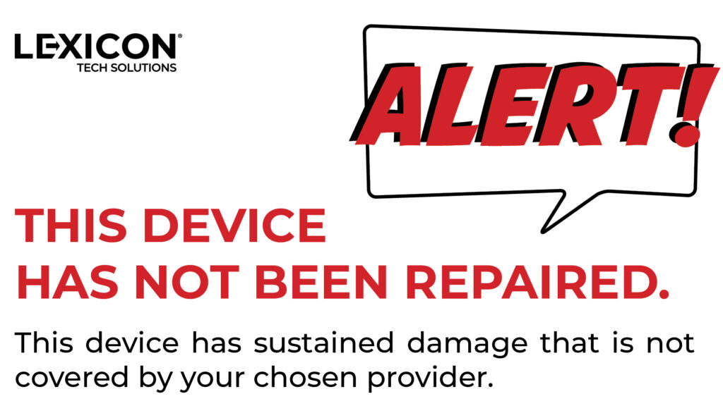 BER GUIDE - Lexicon Tech Solutions